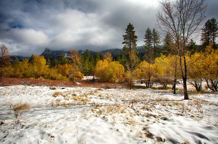 Snow guessing winner announced - Idyllwild Town Crier