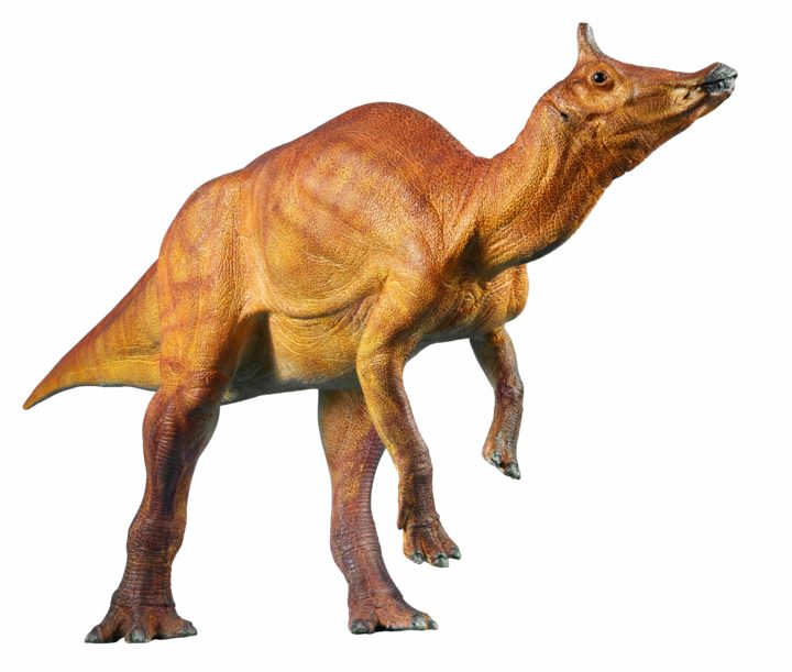 After millions of years, California approves state dinosaur - Idyllwild ...