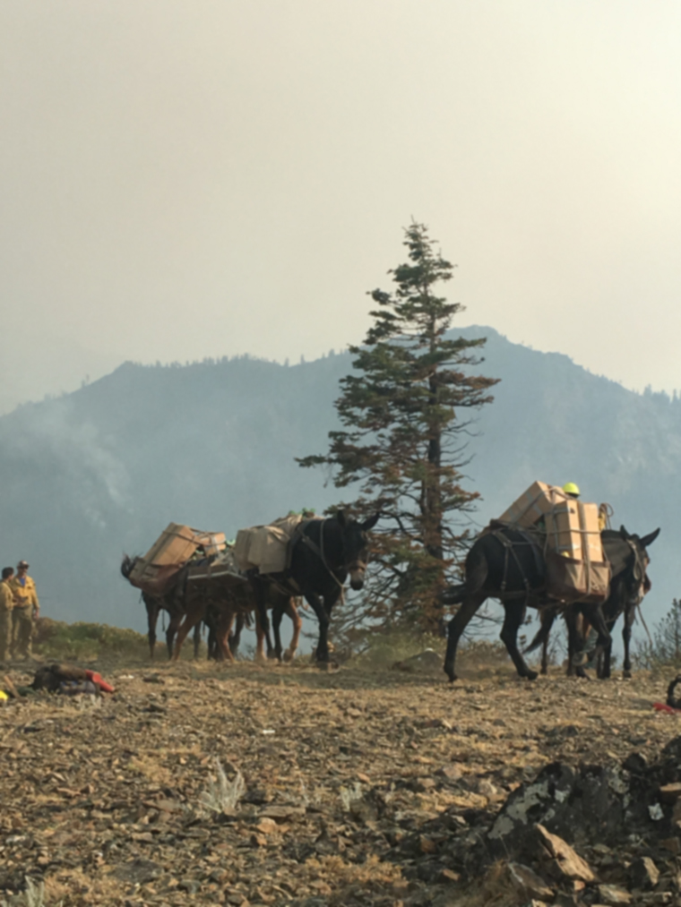 The travails of fighting fire in wilderness: Fly in helicopters but ...