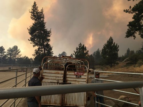 The Cranston Fire from July 25 to July 30 - Idyllwild Town Crier