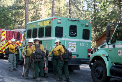 Home - Idyllwild Town Crier